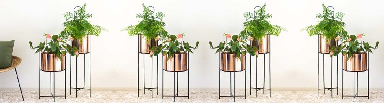 Floor planters | Buy floor pots online | Kalpané